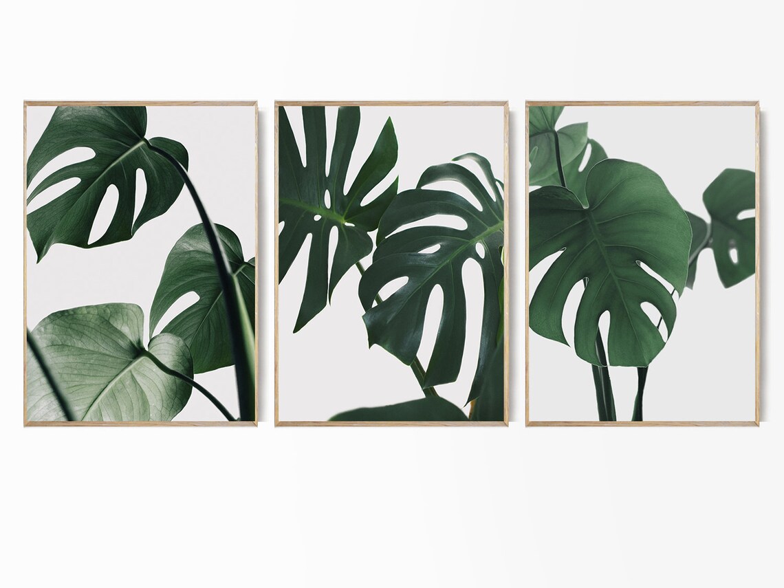Monstera Leaves Set 3 Print Tropical Leaf Poster Triptych | Etsy