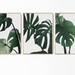 Monstera Leaves Set 3 Print Tropical Leaf Poster Triptych - Etsy
