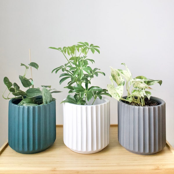Geometric Planter - Etsy