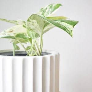 6" Geometric Planter Pot | Nordic Style Planter | Modern and Minimalist ...