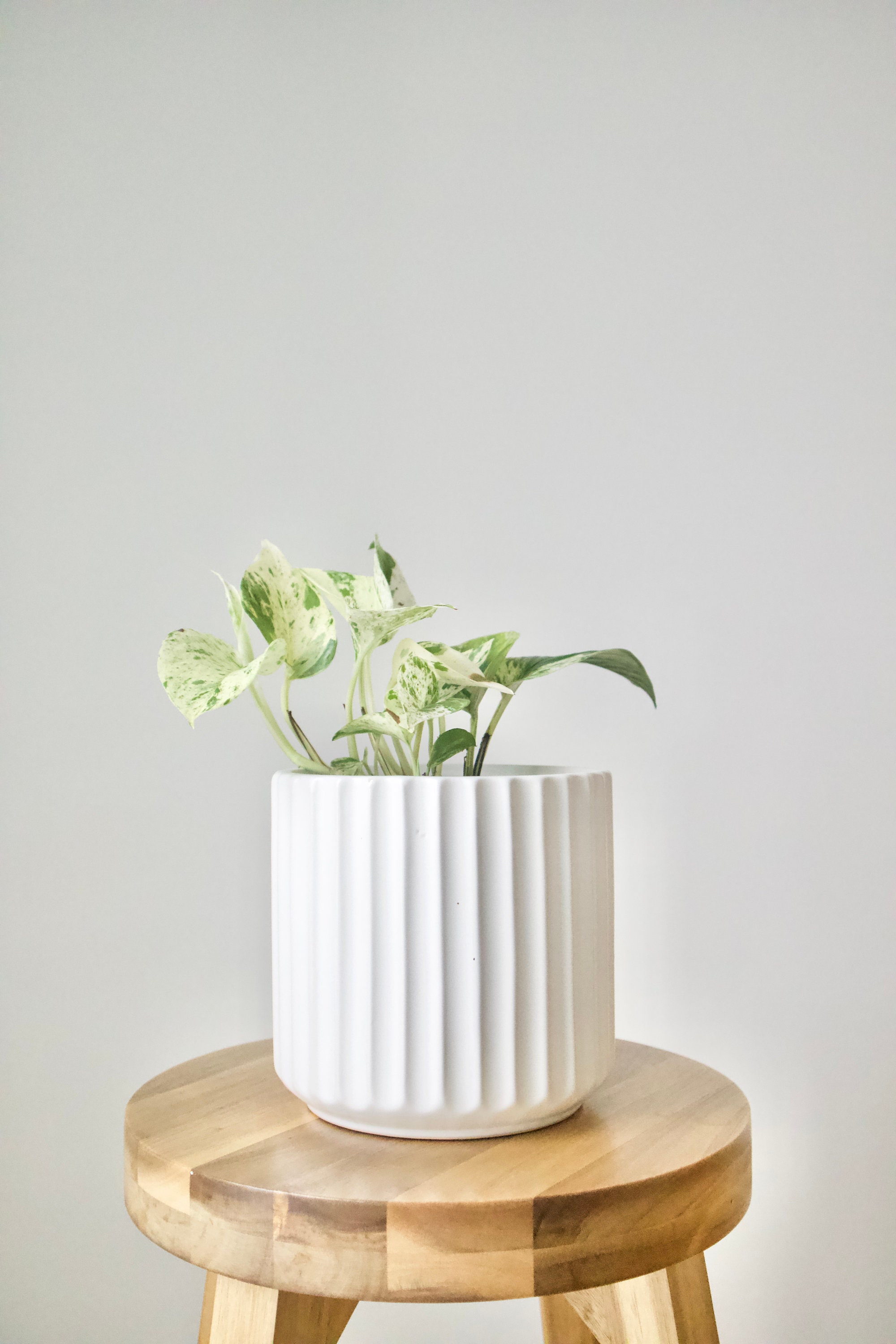 6 Geometric Planter Pot Nordic Style Planter Modern | Etsy
