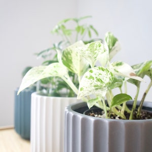 6" Geometric Planter Pot | Nordic Style Planter | Modern and Minimalist ...