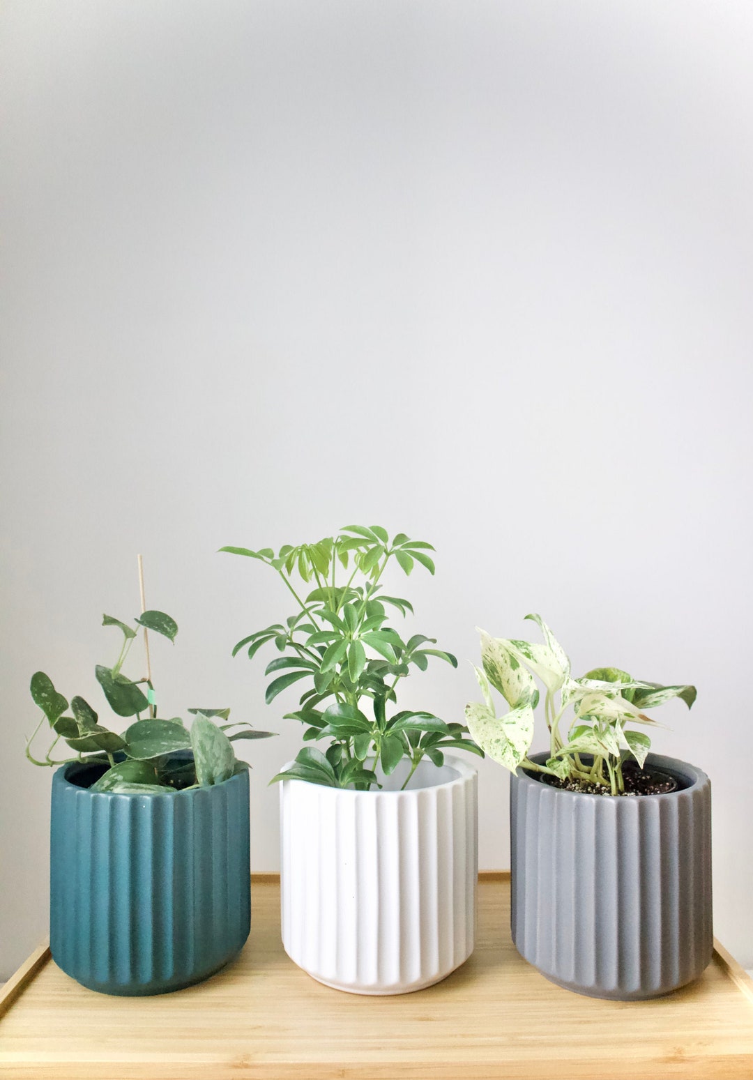 6 Geometric Planter Pot Nordic Style Planter Modern - Etsy