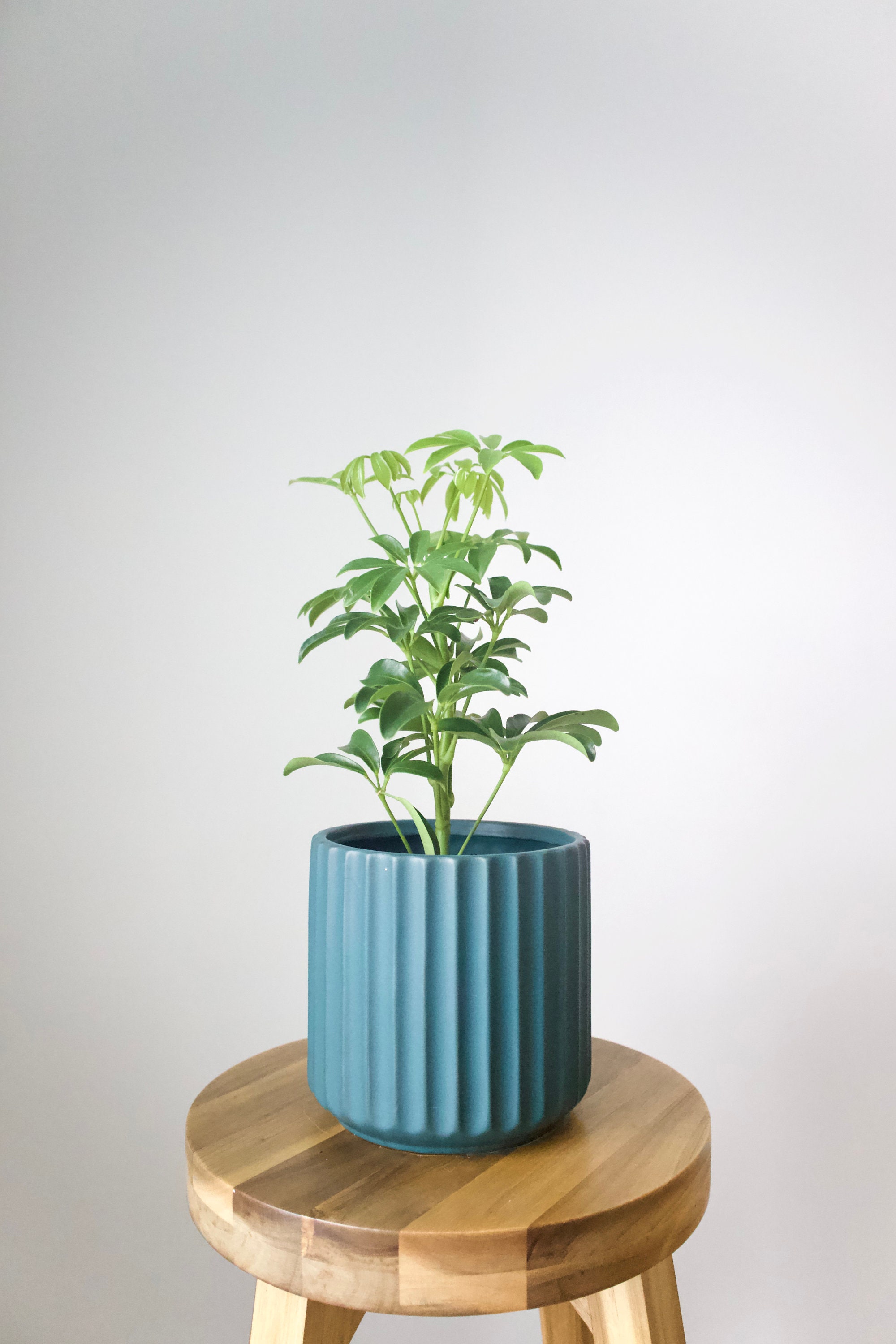 6 Geometric Planter Pot Nordic Style Planter Modern | Etsy