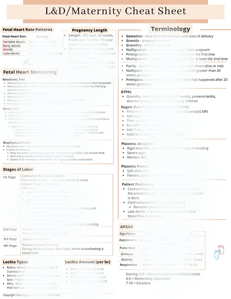 Labor & Delivery/maternity Cheat Sheet Nursing School - Etsy