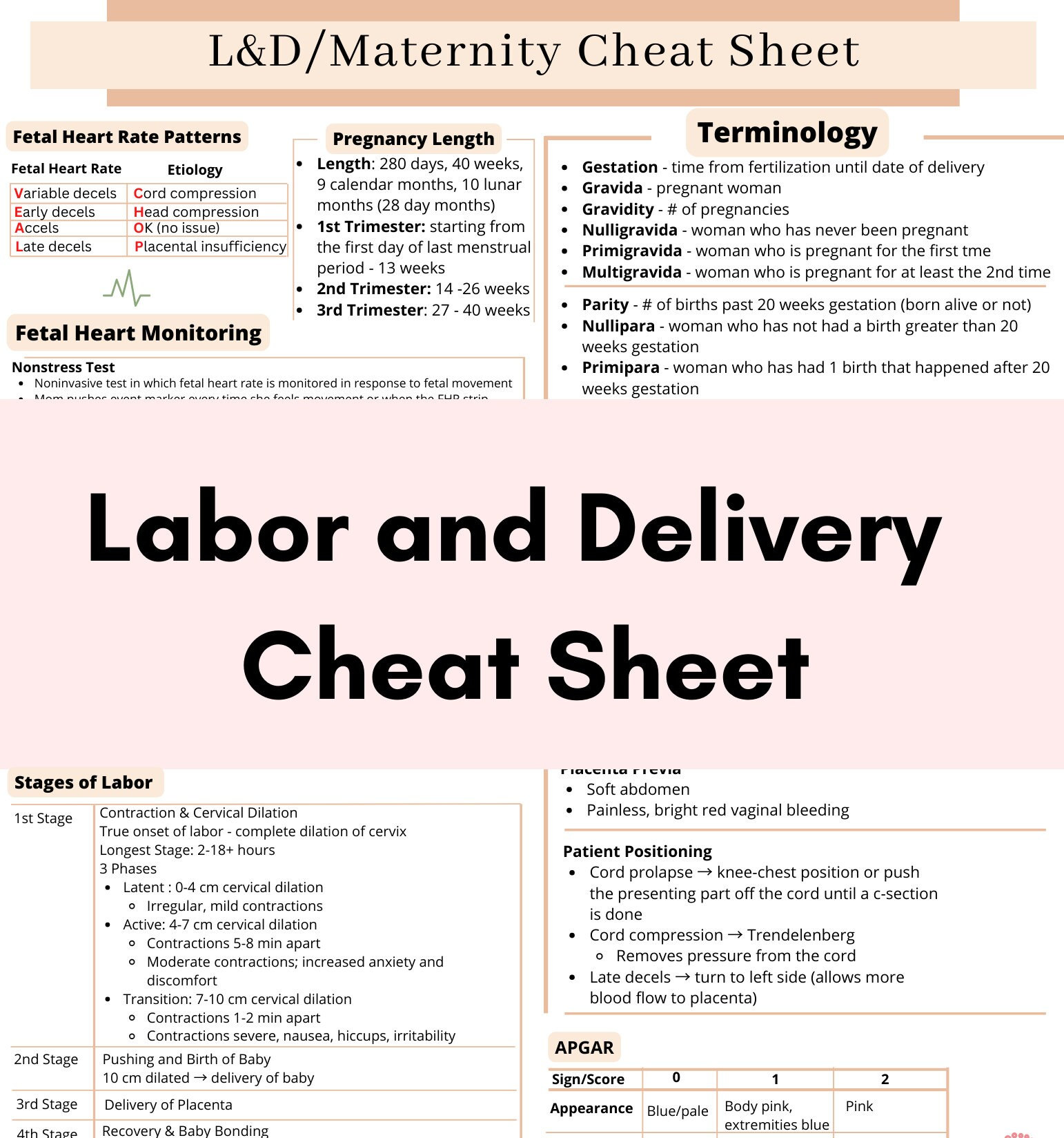 L&D Maternity Nursing Cheat Sheet: OB Study Guide (PDF) - Etsy