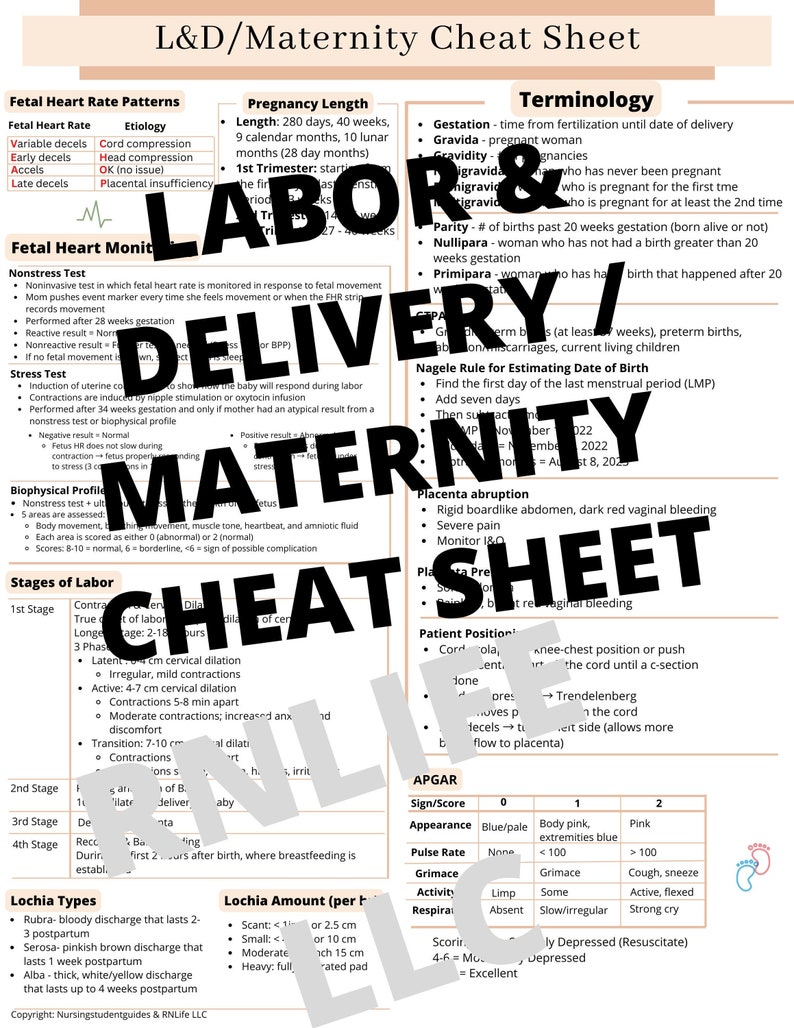 Labor & Delivery/maternity Cheat Sheet Nursing School - Etsy Canada