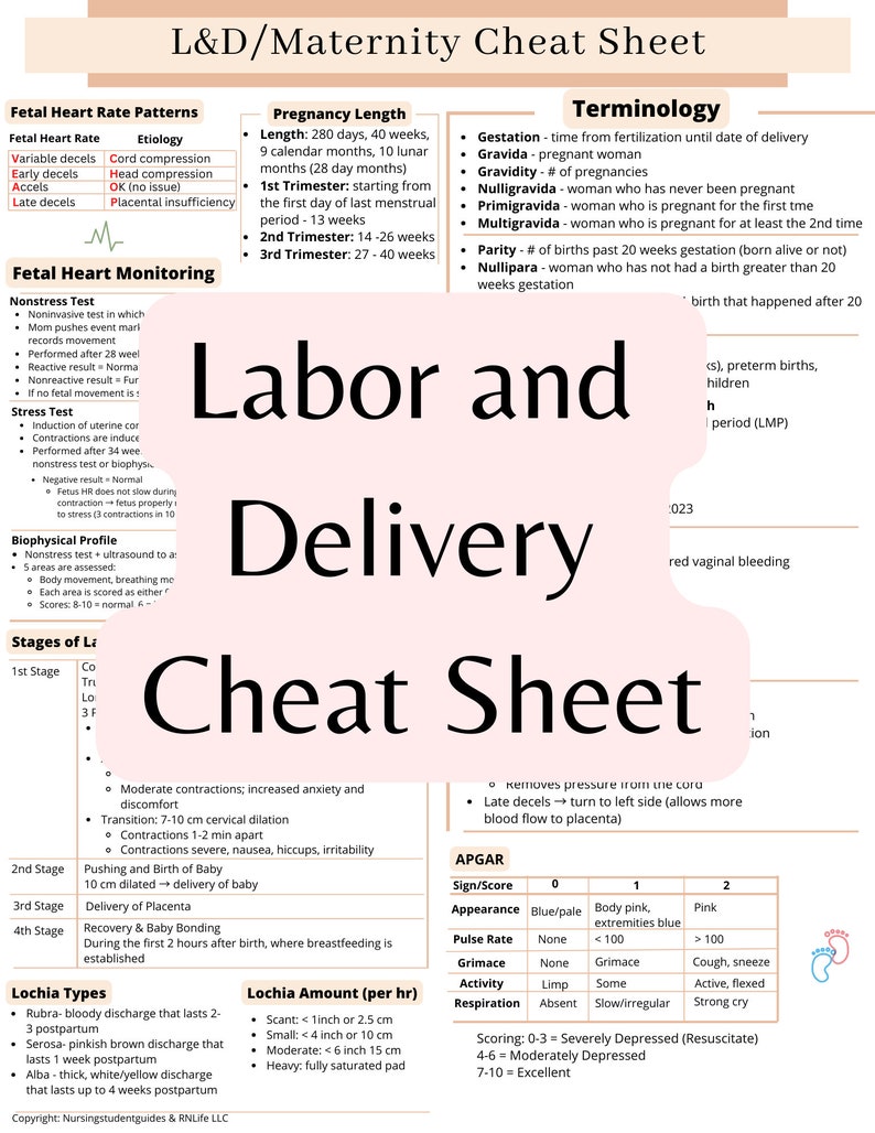 L&D Maternity Nursing Cheat Sheet: OB Study Guide (PDF) - Etsy