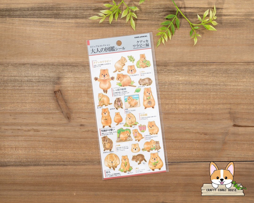 1 Sheet | Kamio | ADULT VISUAL DICTIONARY Gold Foil Crepe Stickers ...