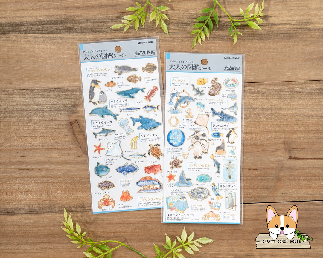 1 Sheet | Kamio | ADULT VISUAL DICTIONARY Stickers | Marine Life ...