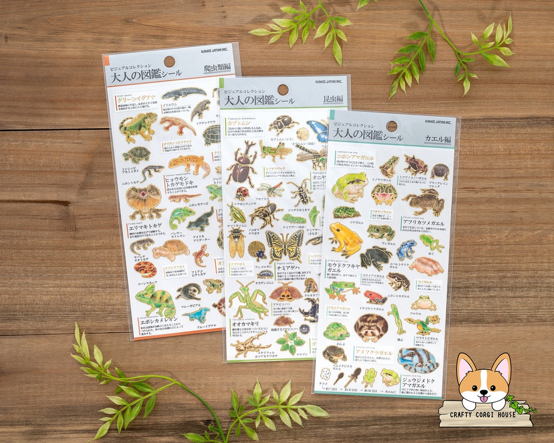 1 Sheet | Kamio | ADULT VISUAL DICTIONARY Gold Foil Crepe Stickers ...