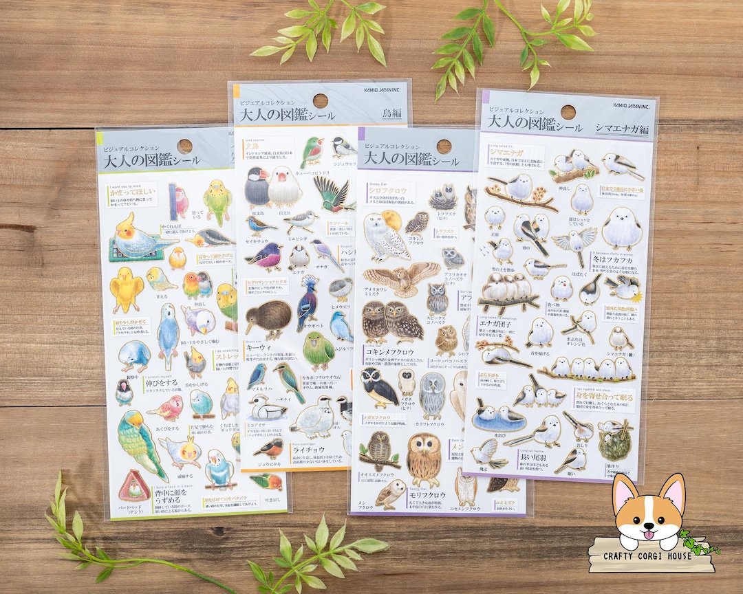 1 Sheet | Kamio | ADULT VISUAL DICTIONARY Gold Foil Crepe Stickers ...