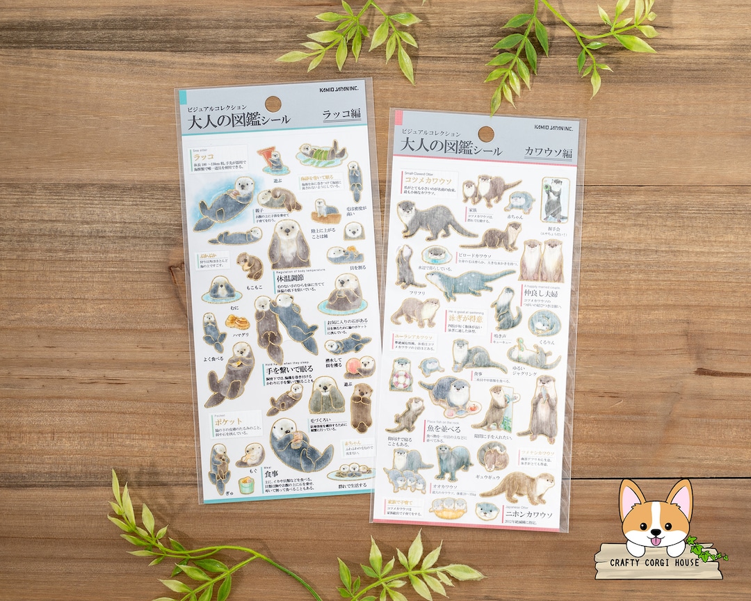 1 Sheet | Kamio | ADULT VISUAL DICTIONARY Gold Foil Crepe Stickers ...