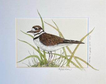 Watercolor Killdeer - Etsy