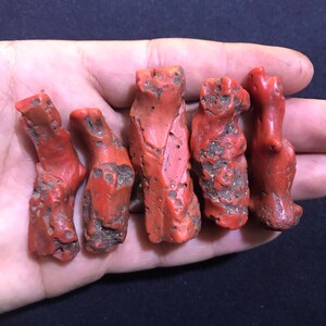 Set of 5 Unique Big Natural Moroccan Red Coral ( 63 Gramme ) - Etsy