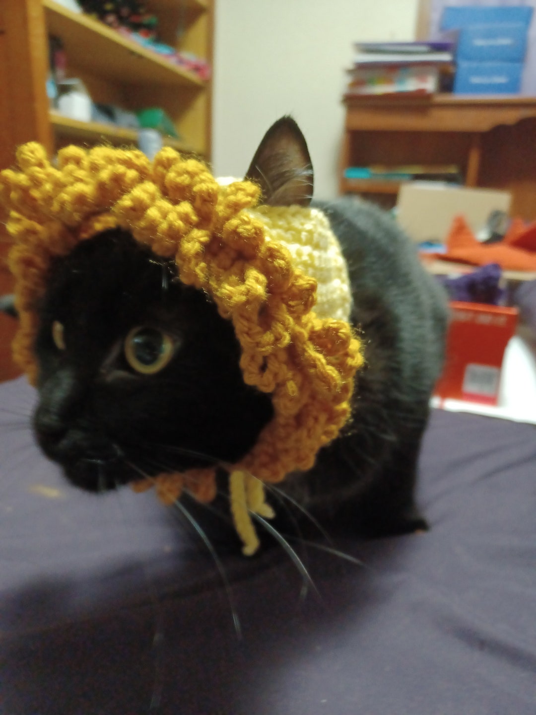 Lion Mane Pet Hat - Etsy