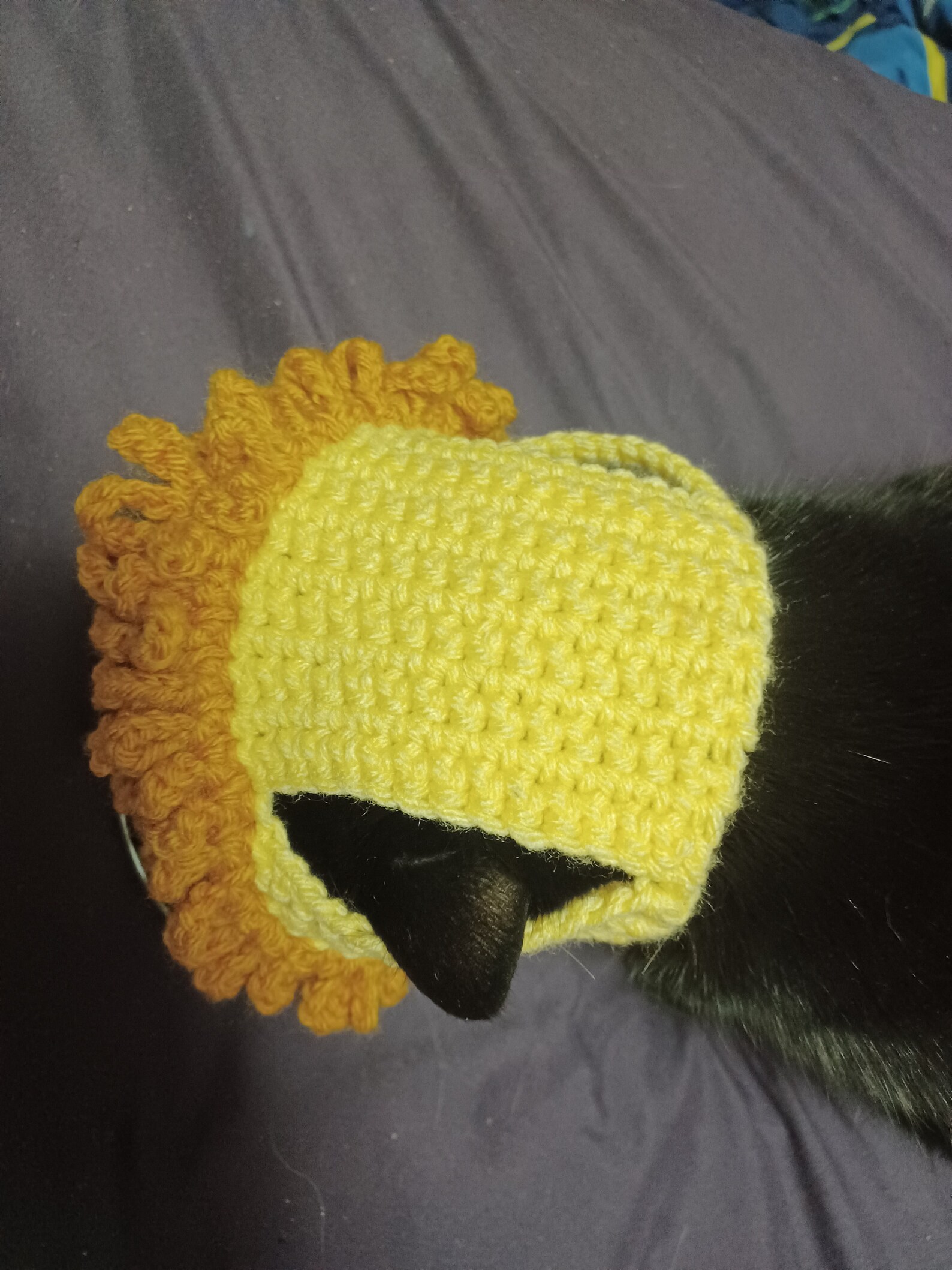 Lion Mane Pet Hat - Etsy