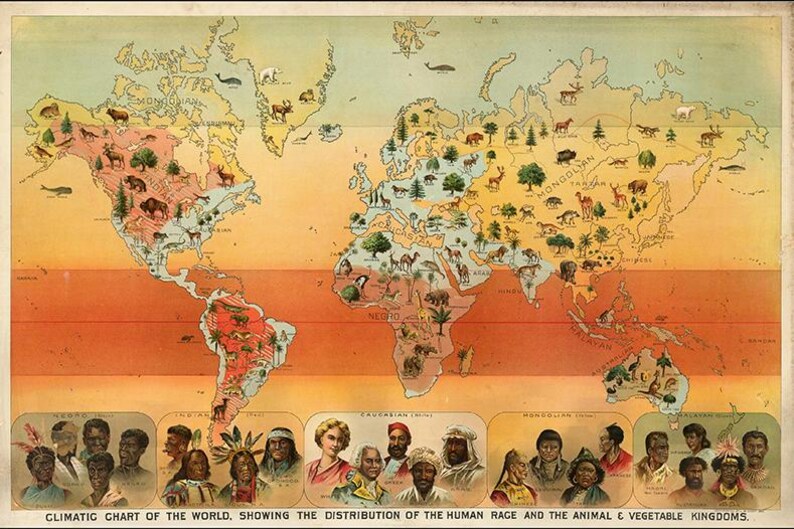Climatic Chart of the World Antique Map of Human, Animal, Plants ...