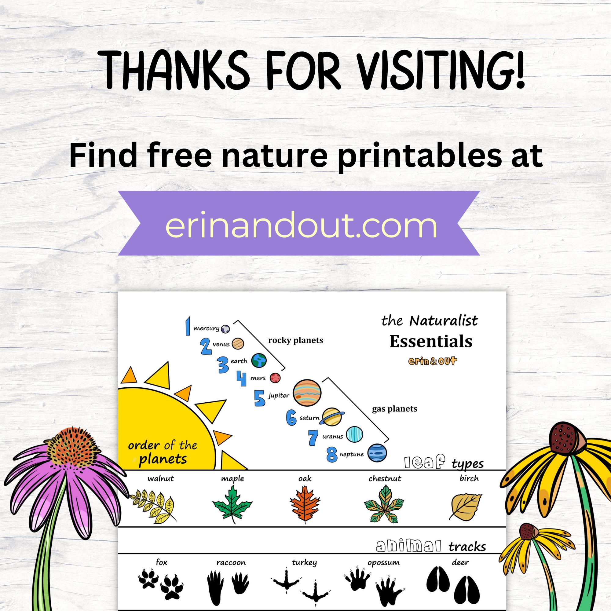 Nature Color by Number: Kids Learning Activity, Montessori Homeschool ...