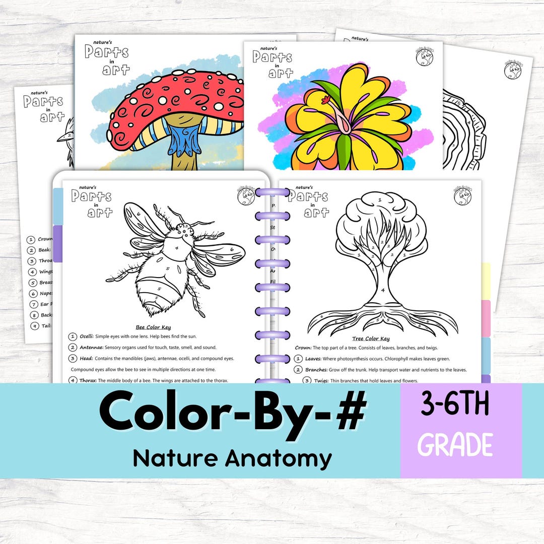 12 Color-by-number Nature Anatomy Pages | Printable Coloring Sheets for ...