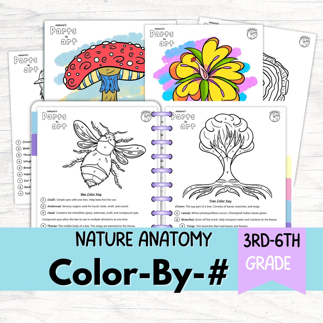 Nature Color by Number: Kids Learning Activity, Montessori Homeschool ...