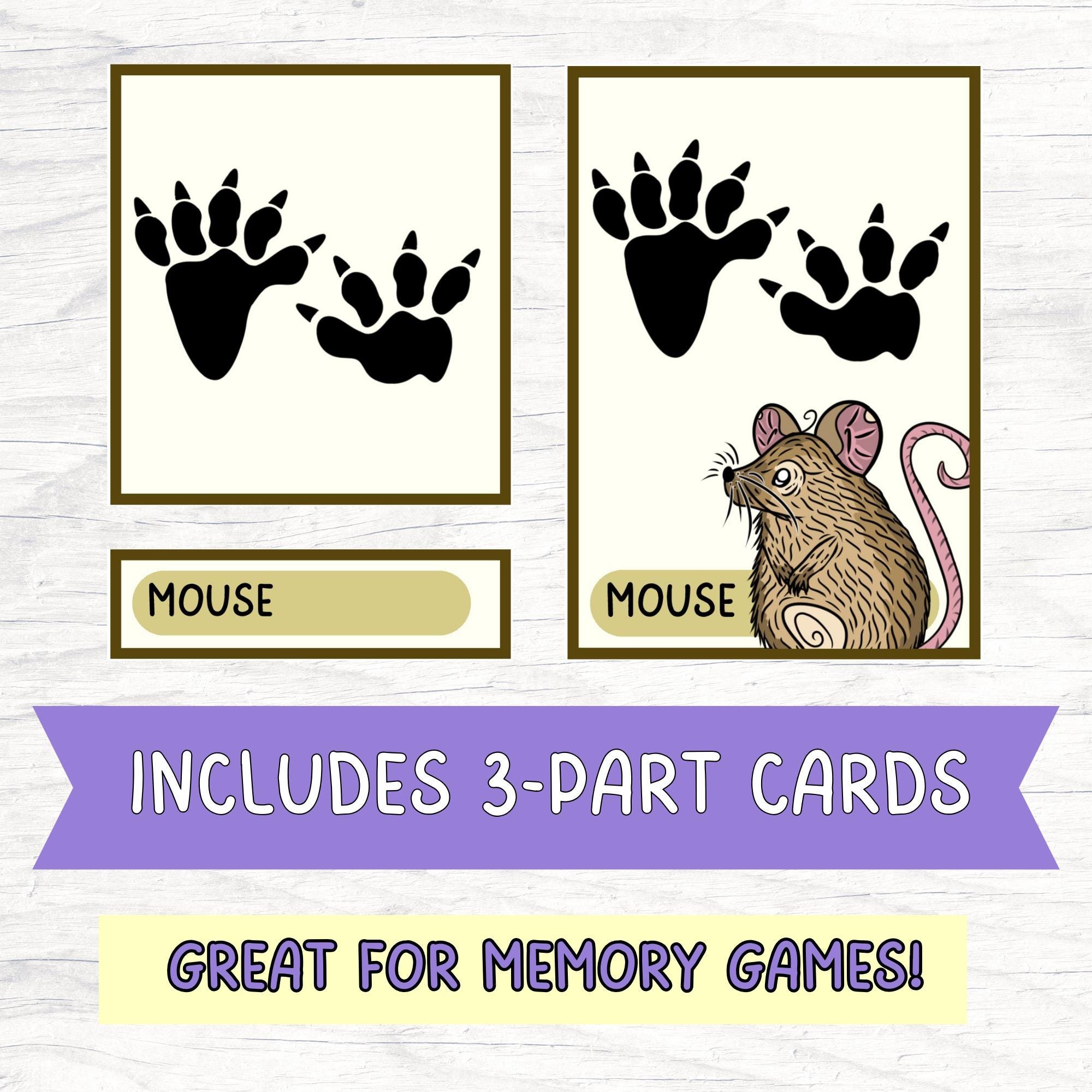 Animal Track Flashcards Printable for Kids Animal Track ID Cards Nature ...