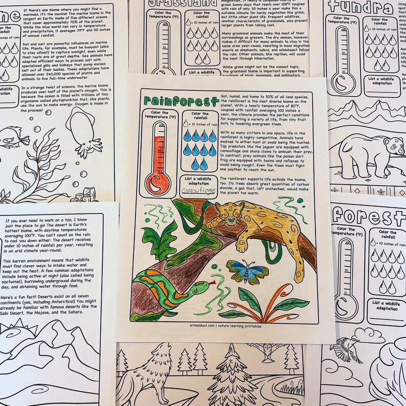 Biome Coloring Pages for Kids Biome Unit Study Worksheets Habitat ...