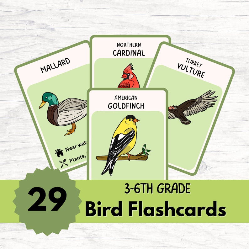 Backyard Bird Flashcards Animal ID Cards Printable Nature Learning ...