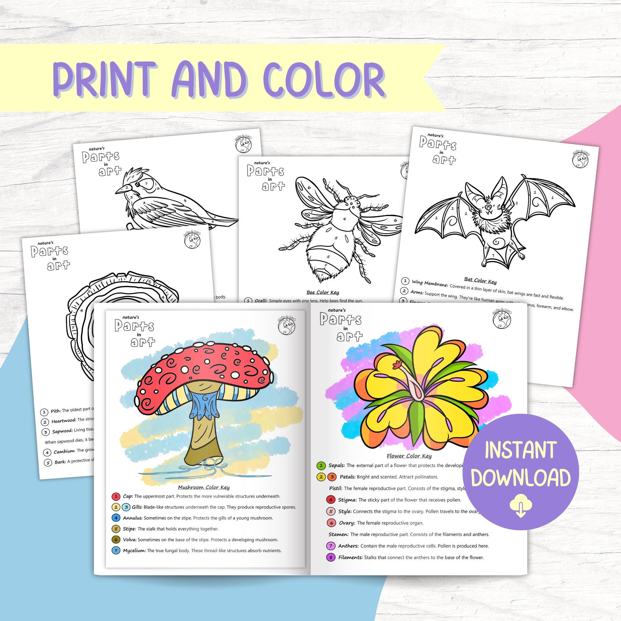 Nature Color by Number: Kids Learning Activity, Montessori Homeschool ...