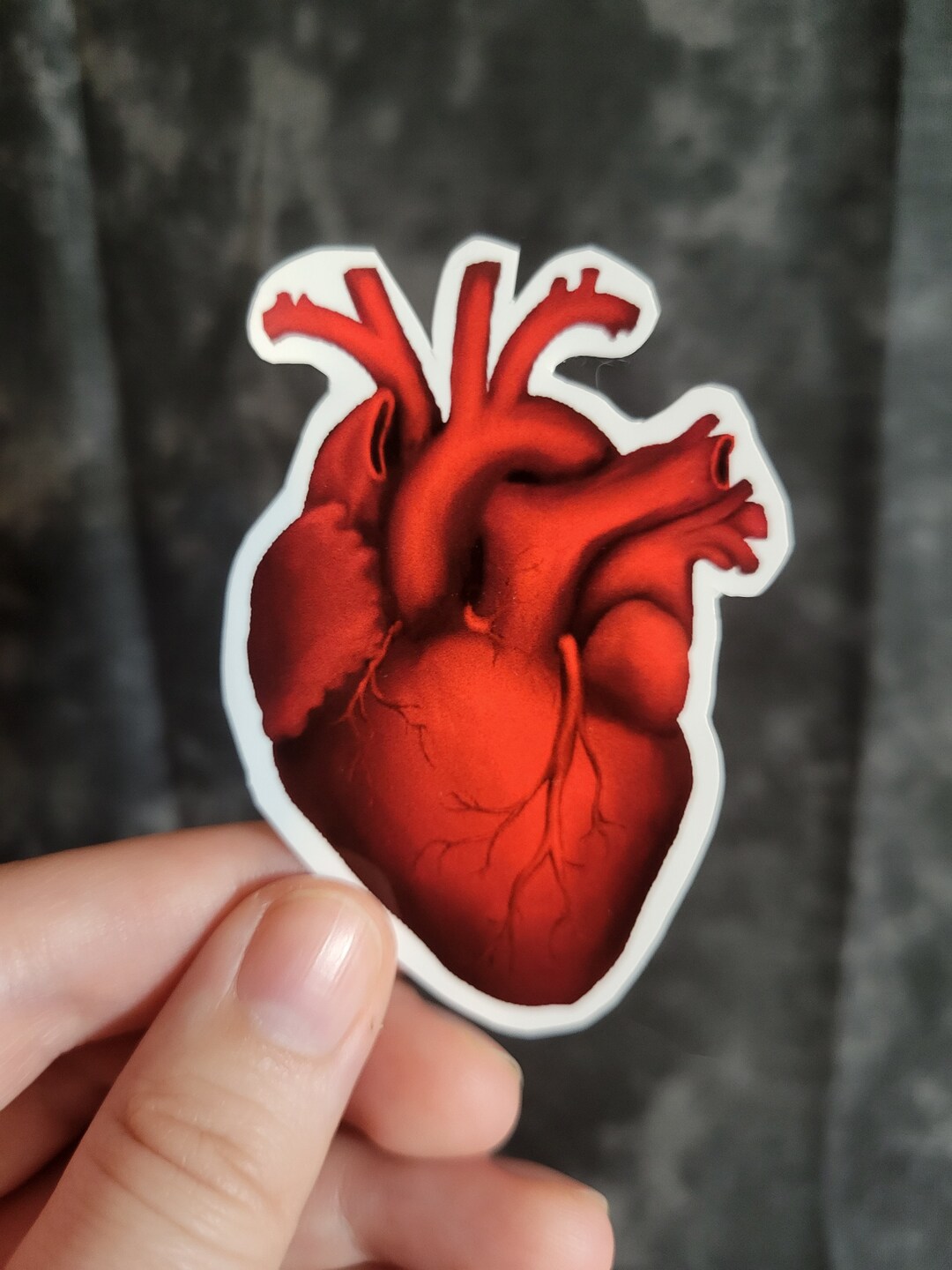Realistic Heart Weatherproof Vinyl Sticker - Etsy