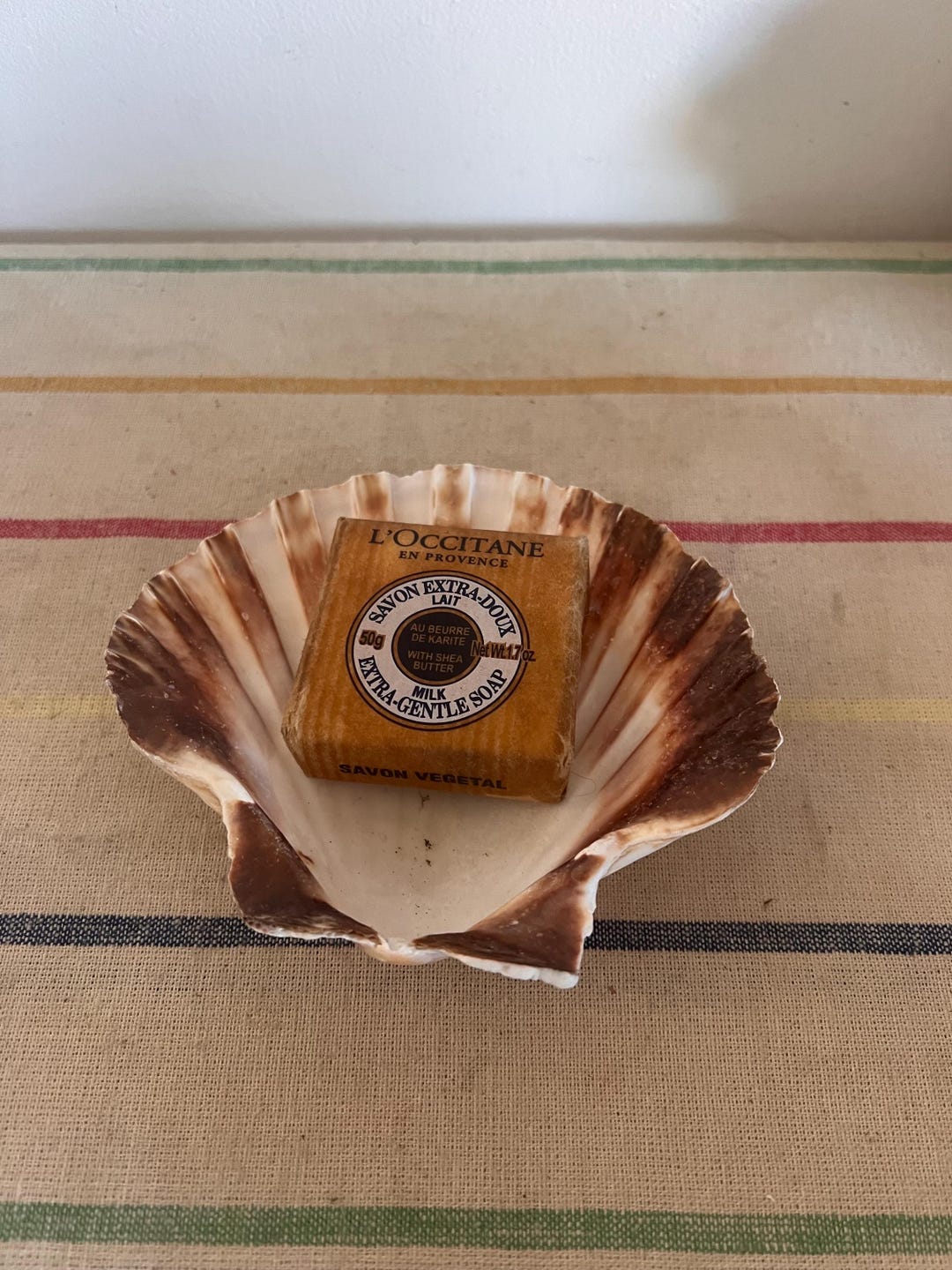 A Scallop Shell to Use as Soap Dish, Trinket Dish, Catch All - Etsy