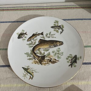 A Delightful Retro 1955 Schumann Arzberg Bavaria Foreign 8 Diameter ...