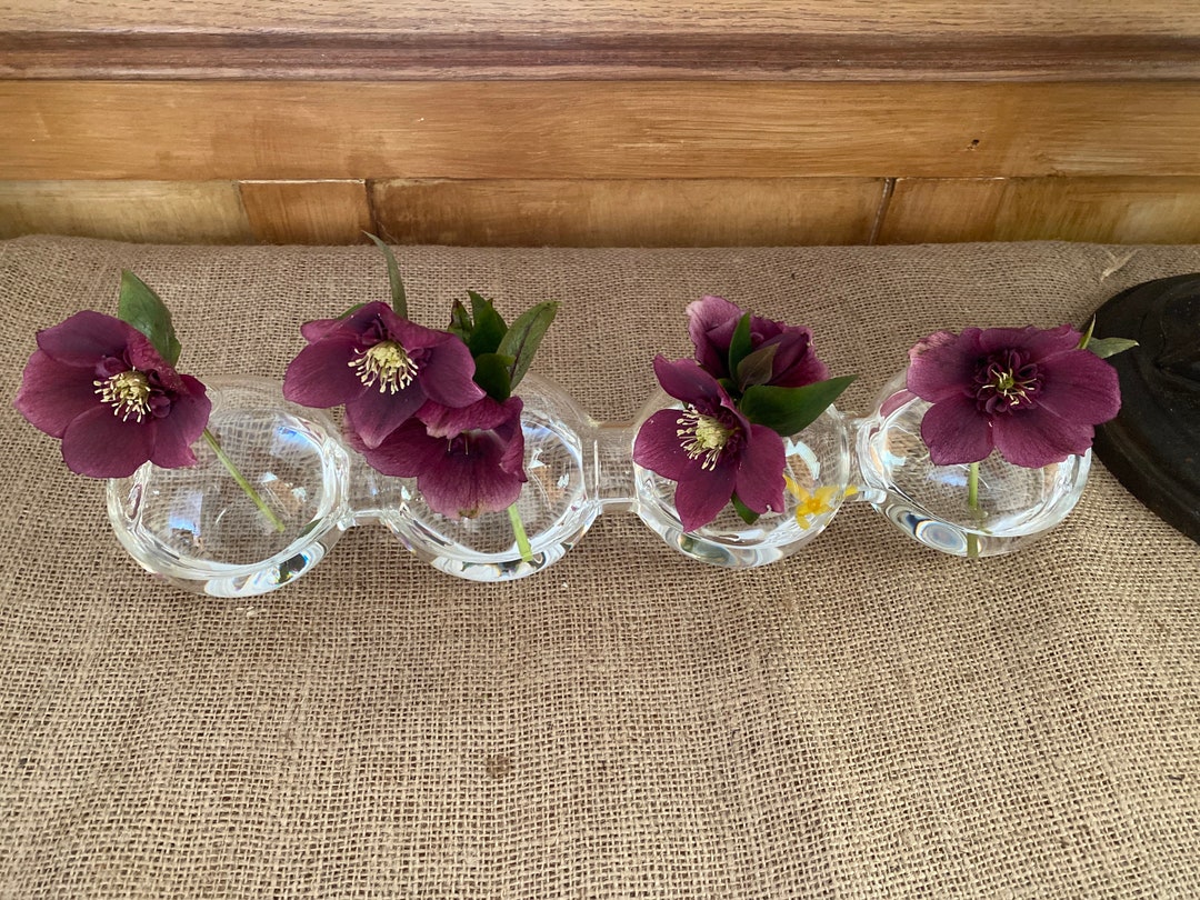 A Dramatic, Effective Quintessential Centrepiece Bubble Caterpillar ...