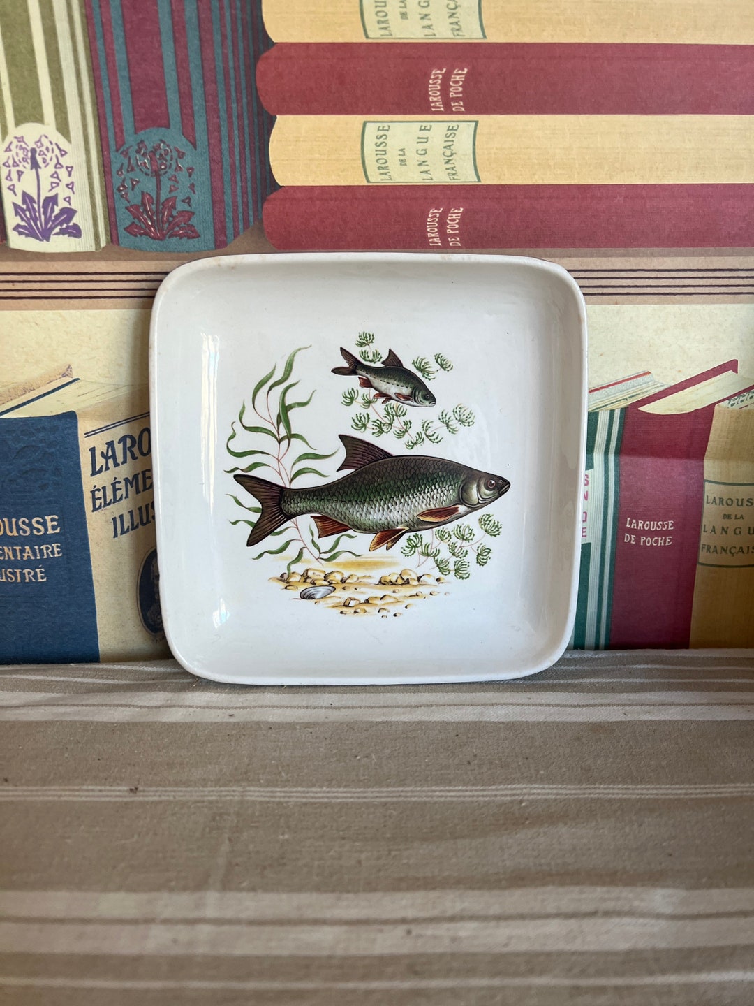 An Unusual Pike Fish Square Shaped Ceramic Plate Dish With Grey Outer ...