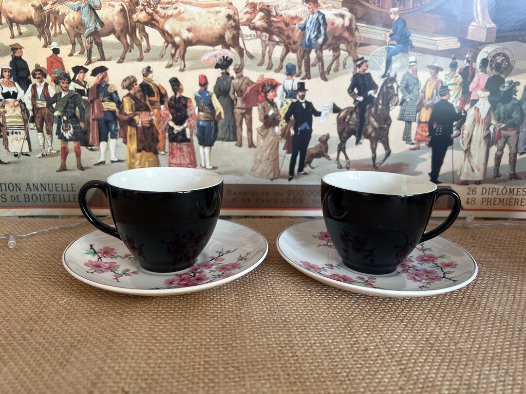 An Unusual Retro Pair of Johnson Bros Pink Blossom and Black Expresso ...