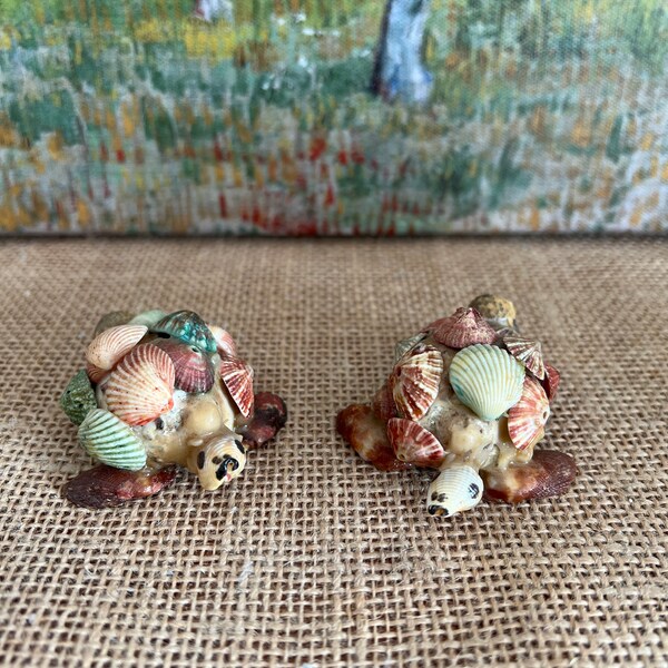 Turtle Made of Shells - Etsy