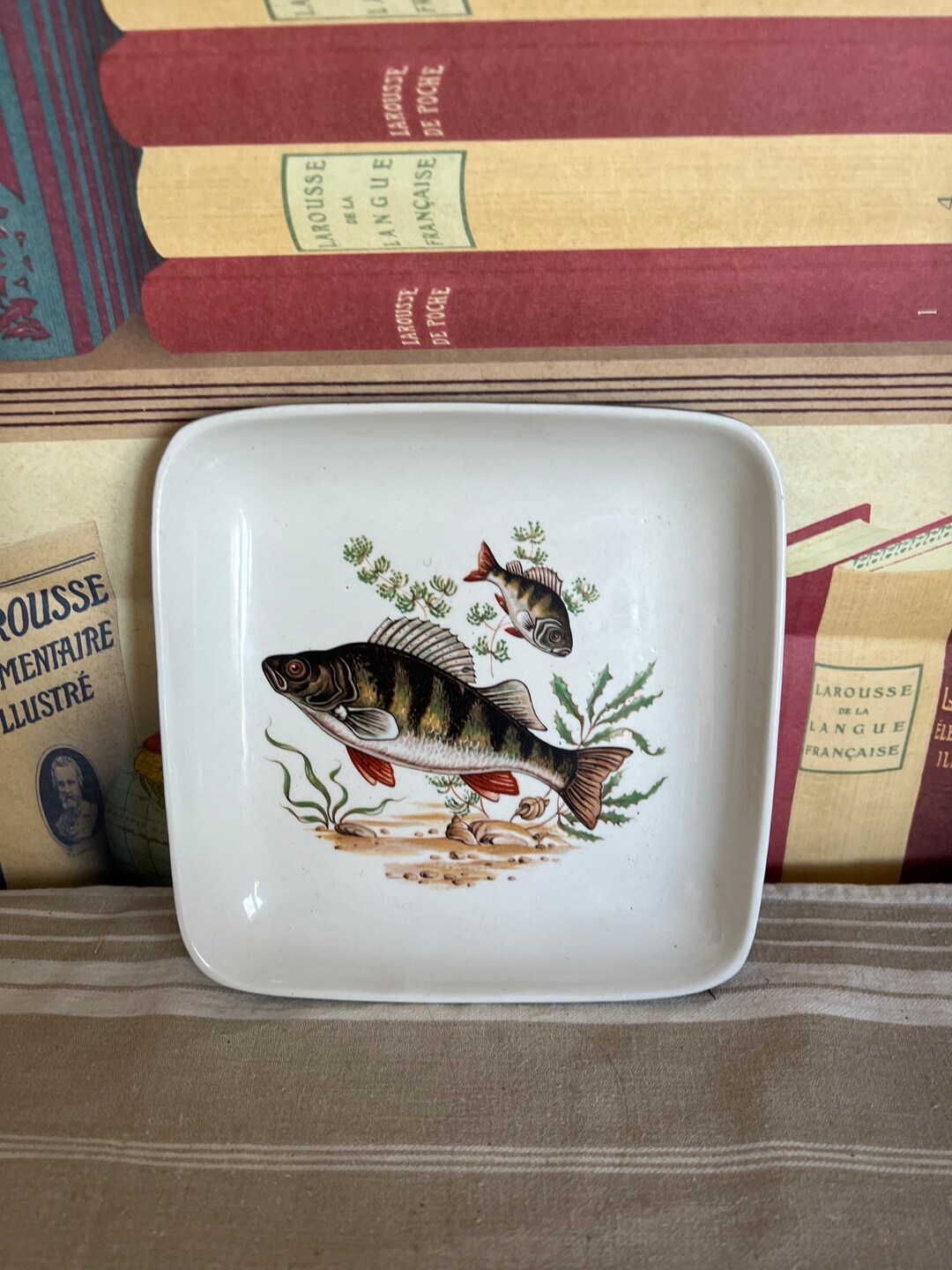 An Unusual Pike Fish Square Shaped Ceramic Plate Dish With Grey Outer ...