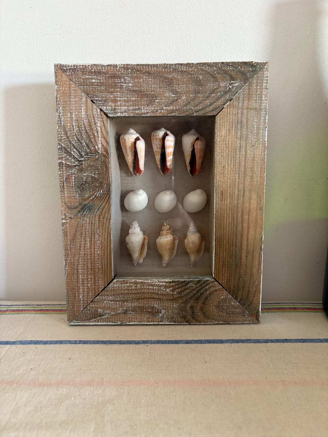 Vintage Rustic Framed Shell Display Box - Etsy