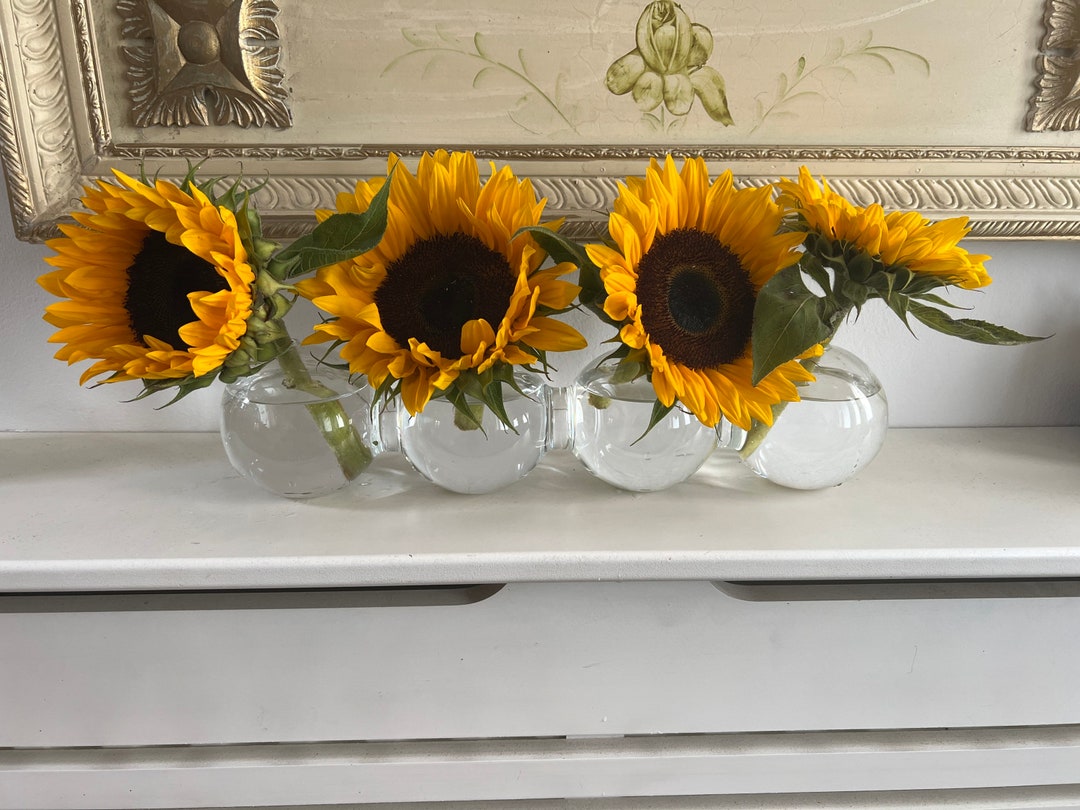 Hand Blown Bubble Caterpillar Vase: Multi Compartment Glass Flower Vase ...