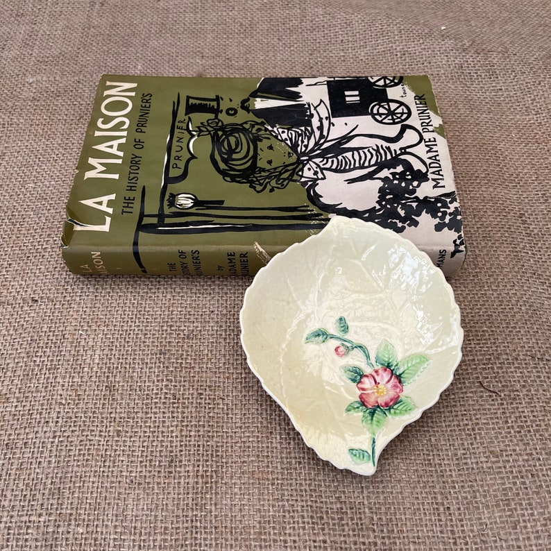 A Rare Carlton Ware Australian Design Wild Rose 2114 Pattern - Etsy