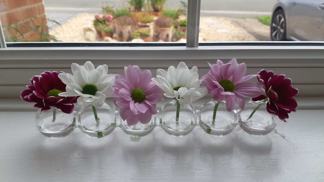Cute Multi-compartment Glass Bubble Vase to Display Flowers and Foliage ...