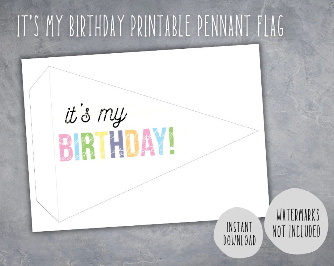 Its My Birthday Pennant Flag, Birthday Pennant Flag Birthday Flag ...