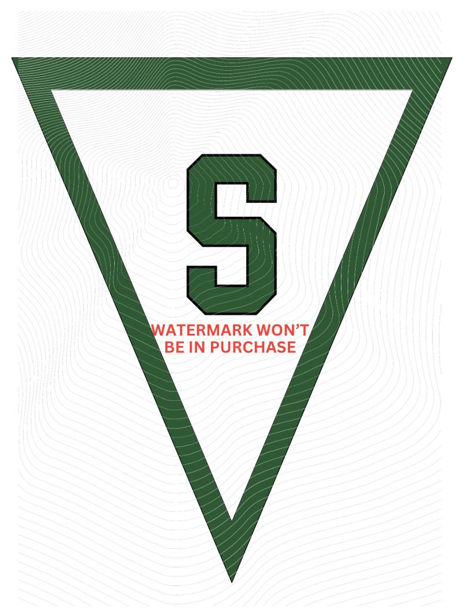 Go Birds Football Banner, Eagles Banner, Fly Eagles Fly Printable Flag ...