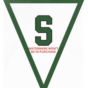 Go Birds Football Banner, Eagles Banner, Fly Eagles Fly Printable Flag ...