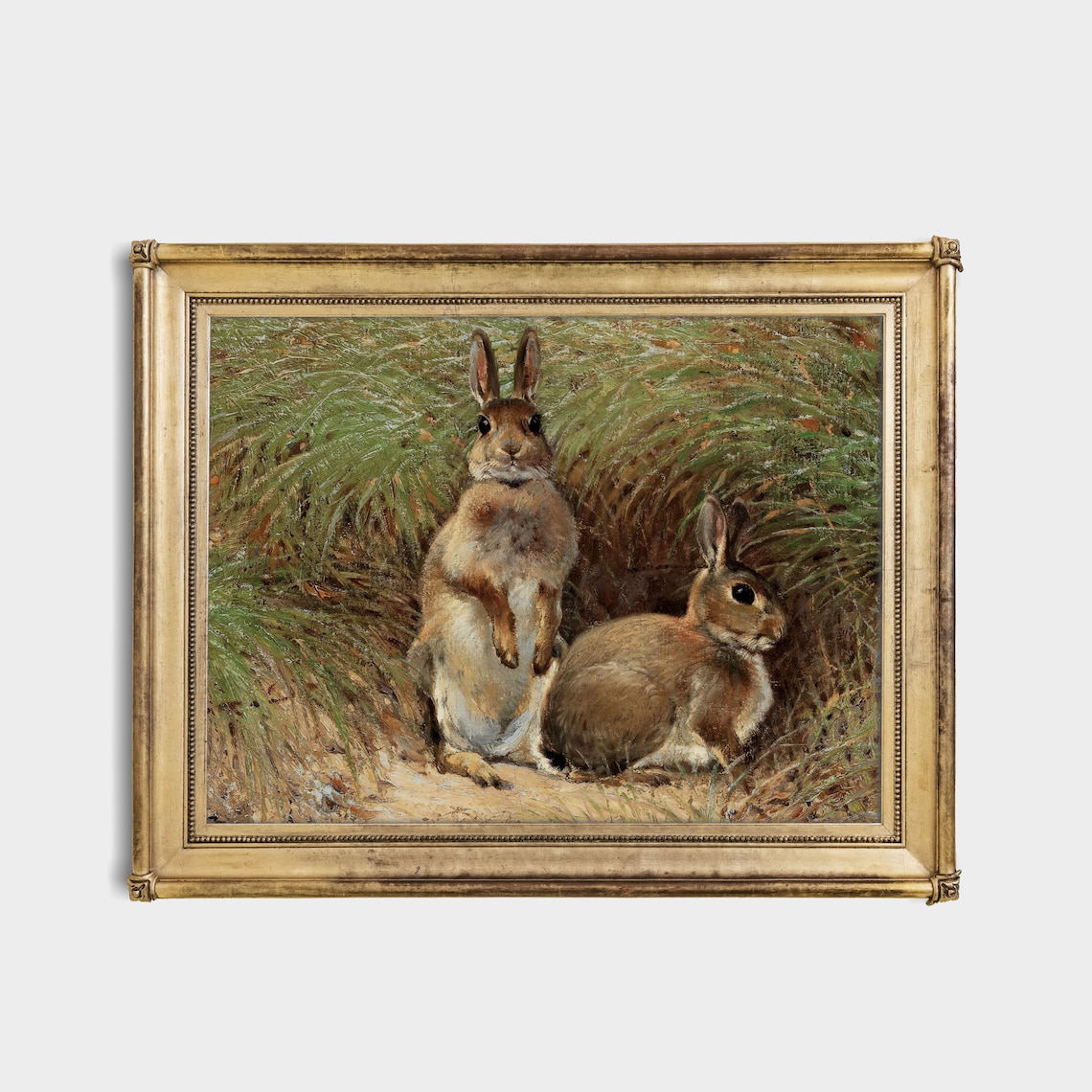 Vintage Gallery Wall Set of 5 Prints Antique Rabbit - Etsy