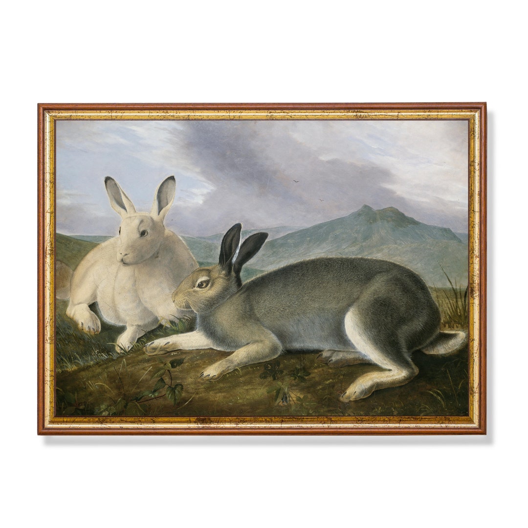 Printed and Shipped | Vintage Rabbit Painting | Antique Bunnies Print ...