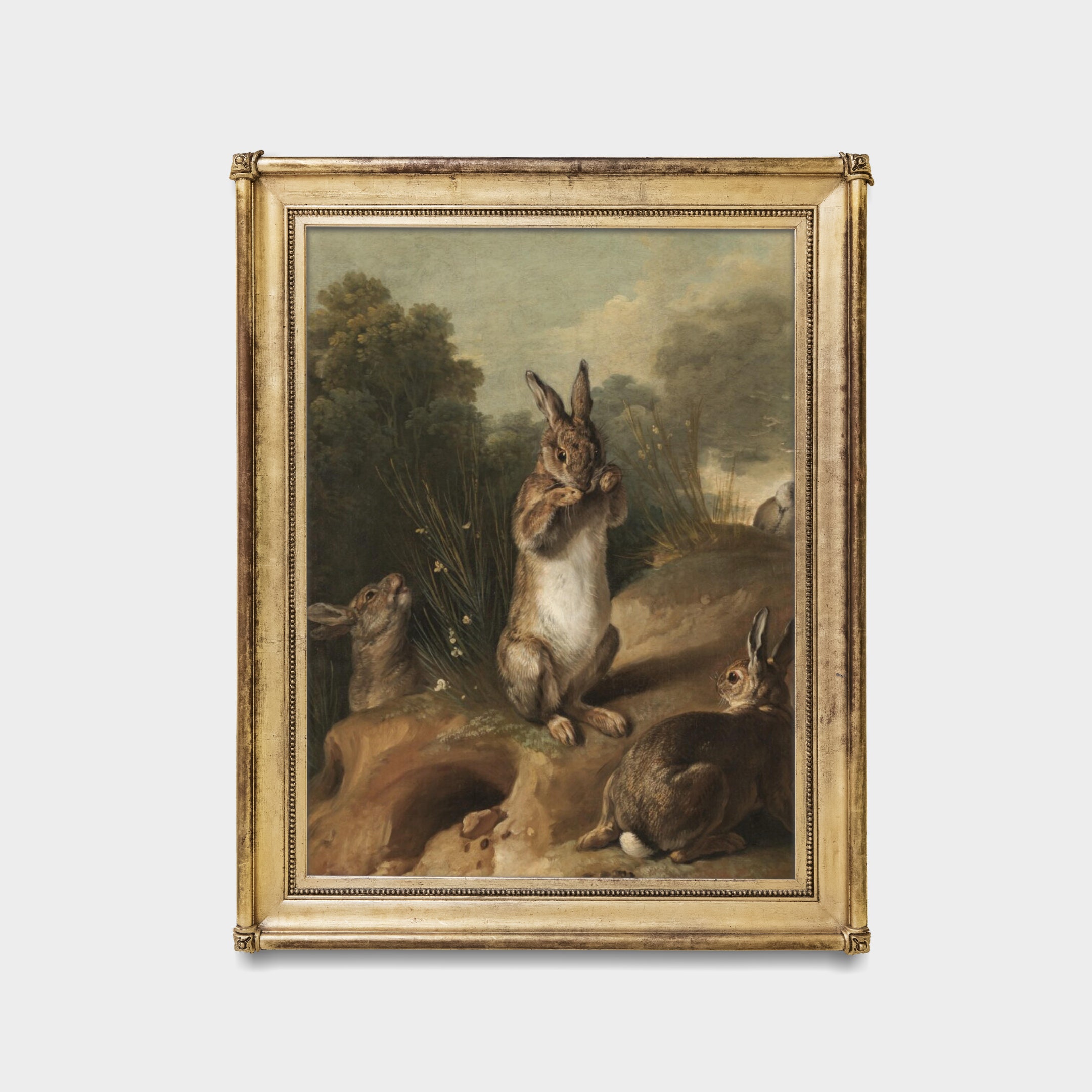 Vintage Gallery Wall Set of 5 Prints Antique Rabbit - Etsy