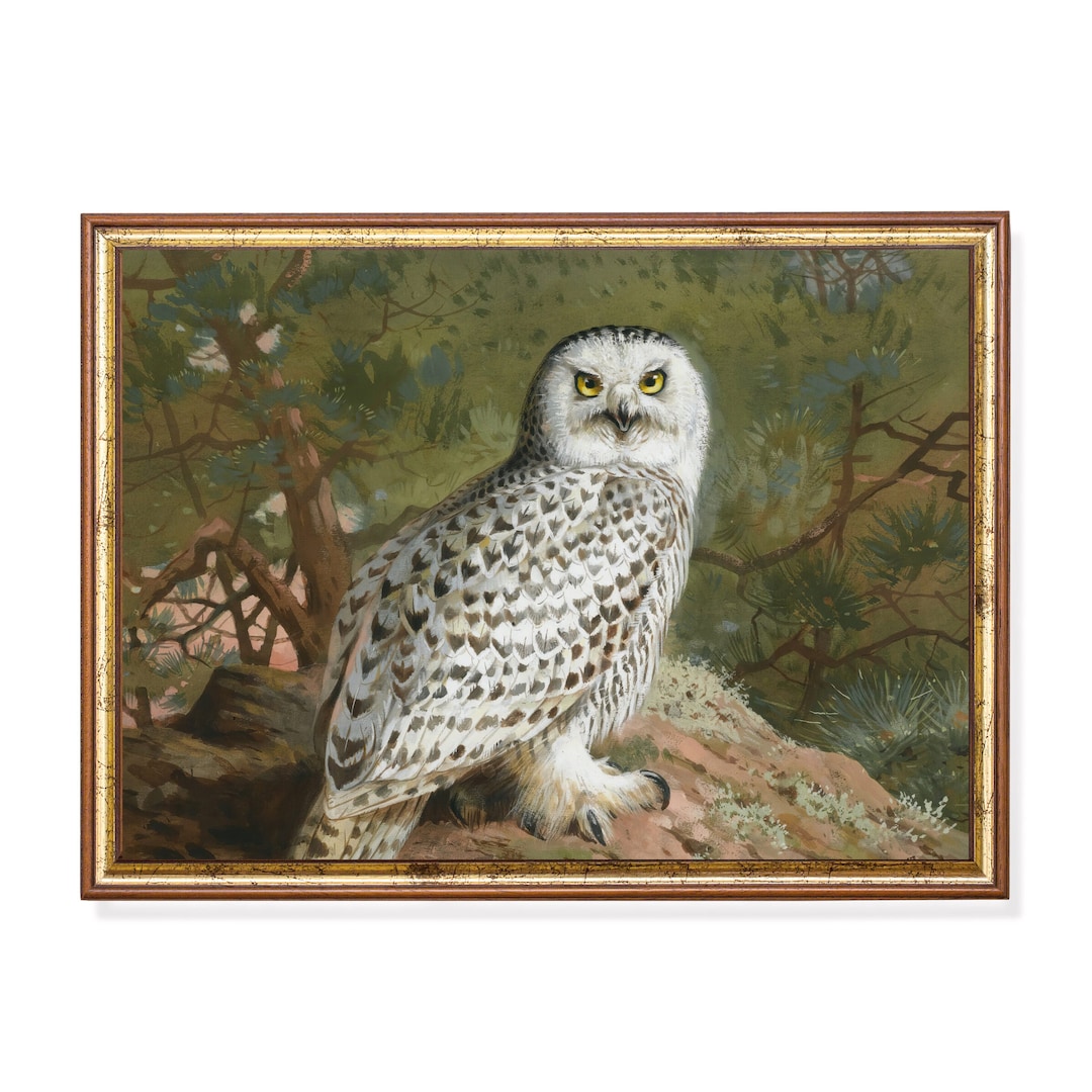 Printed and Shipped | Vintage Owl Print | Antique Bird Artwork | Rustic ...