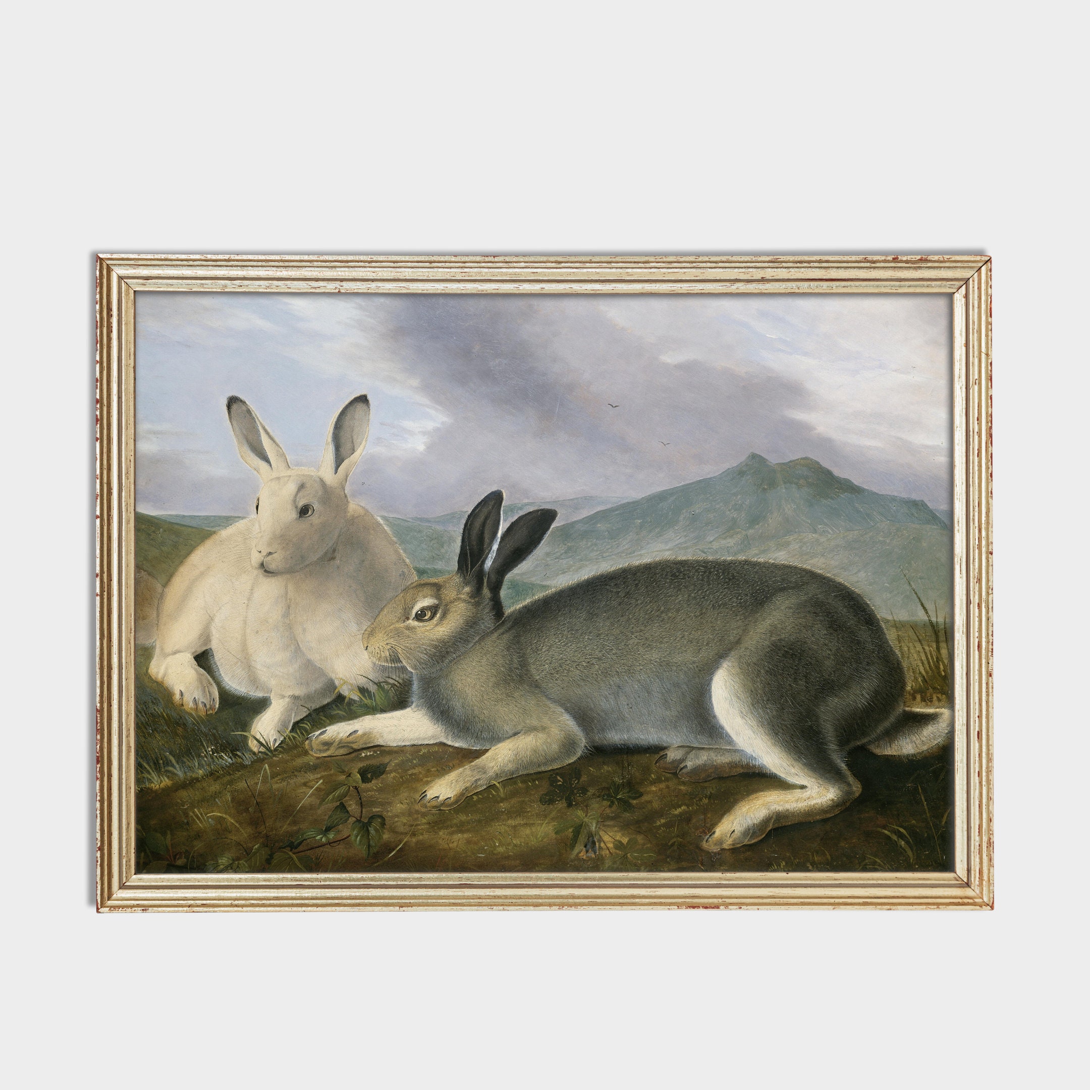 Printed and Shipped Vintage Rabbit Painting Antique - Etsy