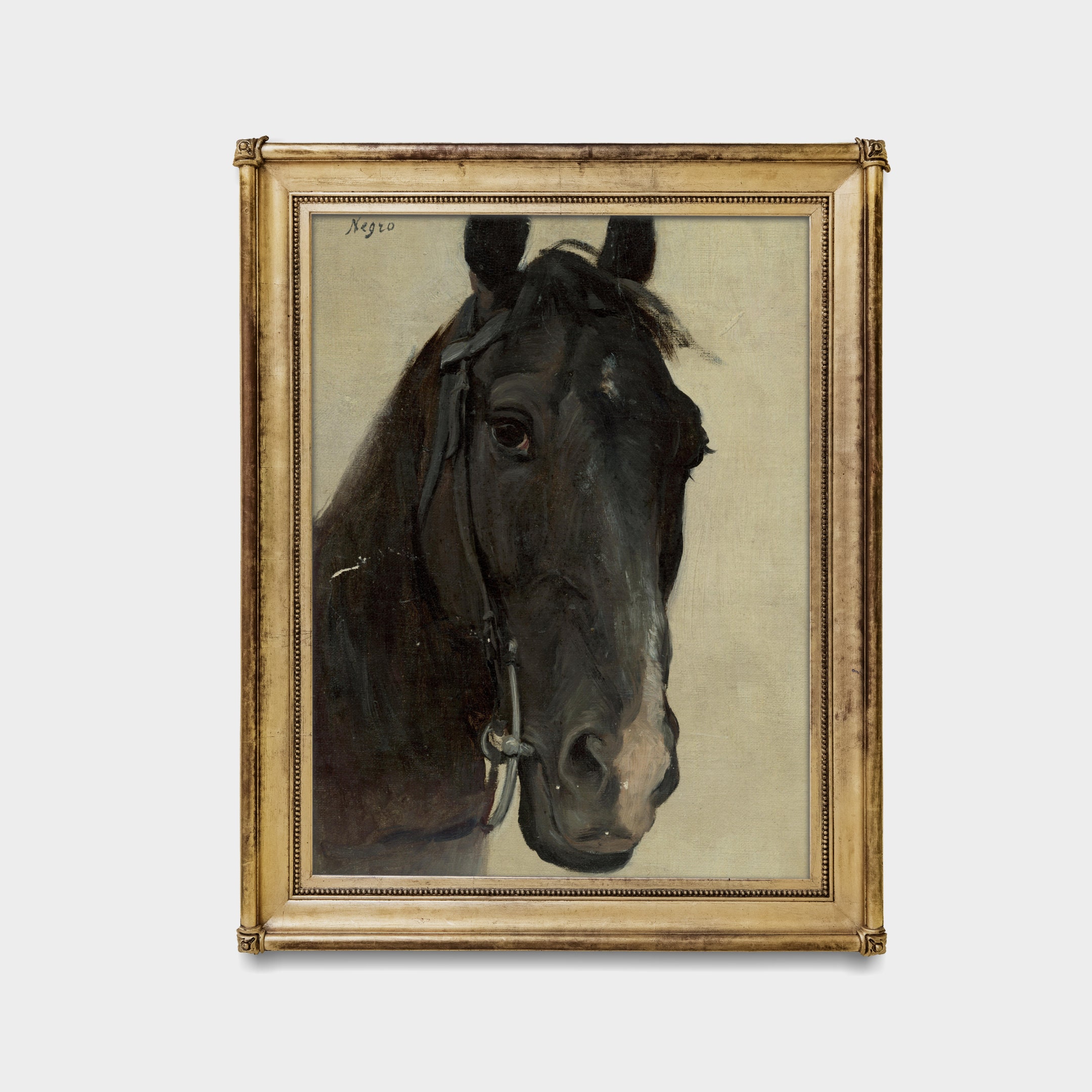 Vintage Horse Portrait Antique Equestrian Painting Digital - Etsy